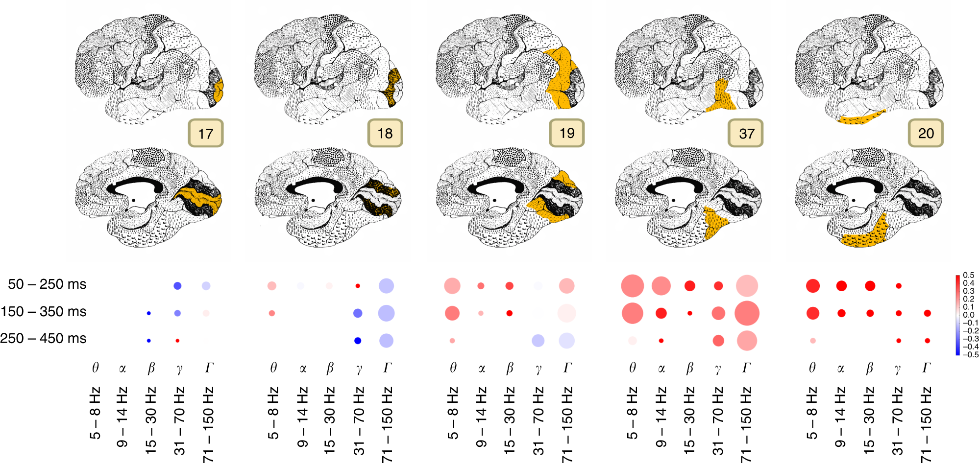 Conference talk | Activations of deep convolutional neural networks are ...