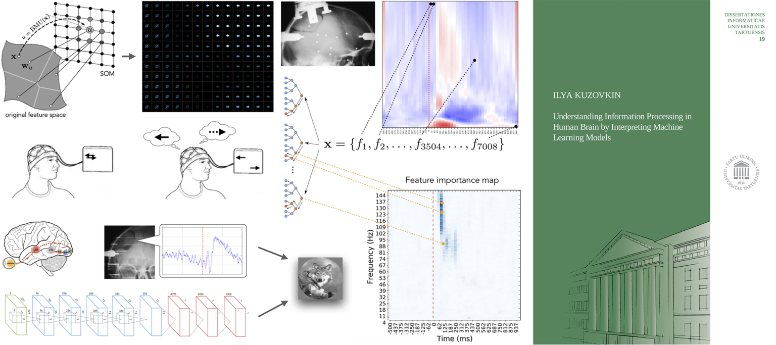 My PhD Thesis "Understanding Information Processing in Human Brain by Interpreting Machine ...